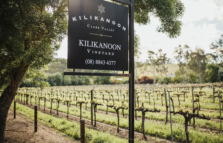 The Best Wineries In South Australia: Clare Valley, Barossa, Adelaide ...
