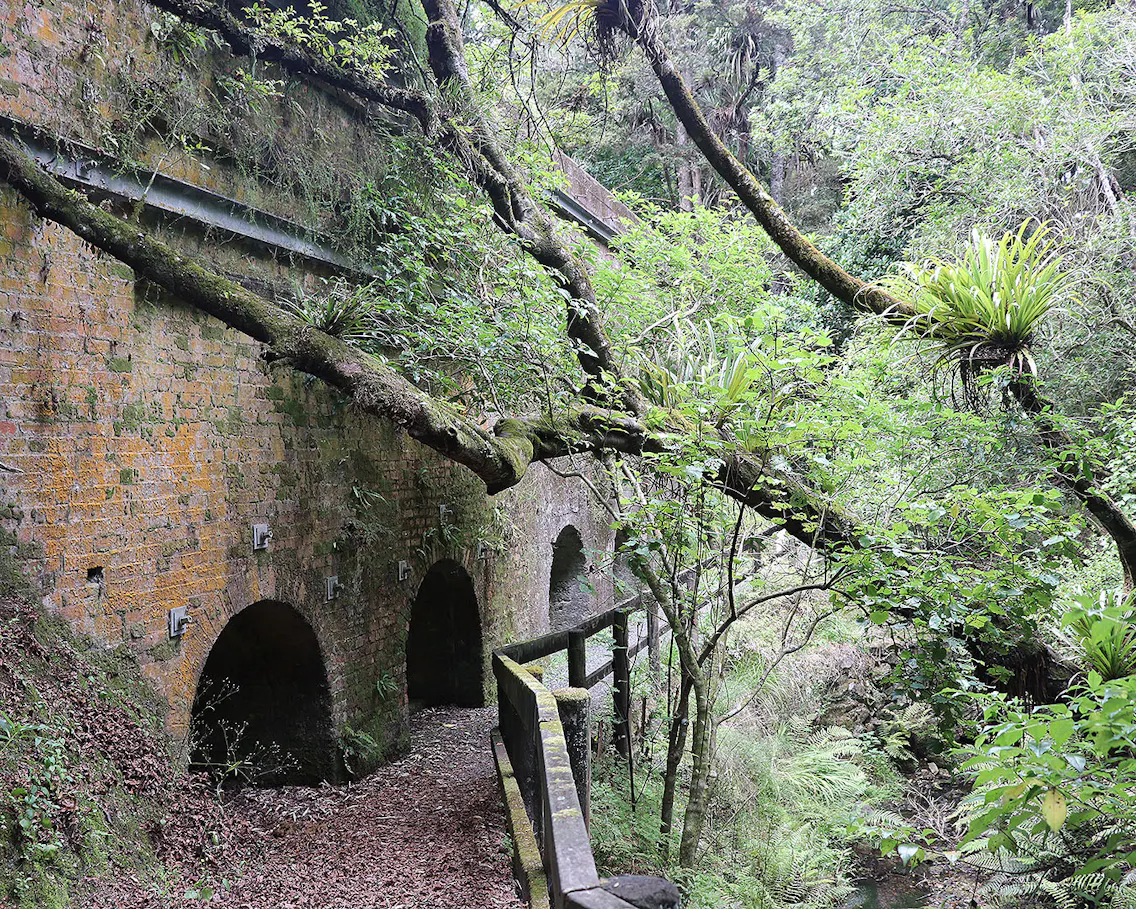 The Best Parks In Auckland | URBAN LIST AUCKLAND