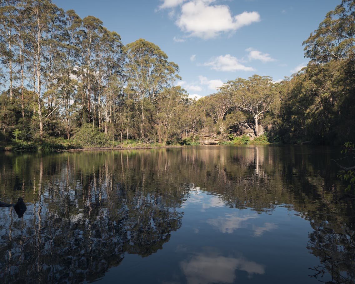 The Best Bushwalks Near Sydney To Tackle With Kids In 2022 | URBAN LIST ...