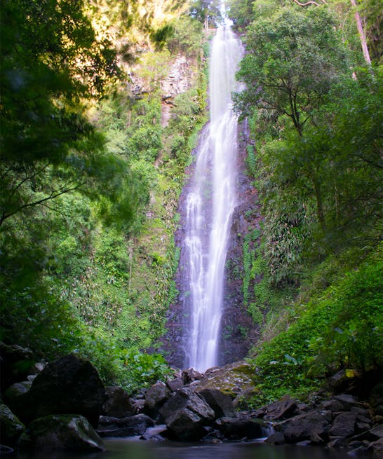8 Beautiful Queensland Waterfalls To Hunt Down | URBAN LIST BRISBANE