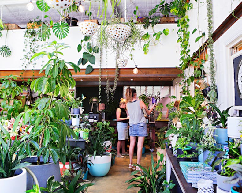 Little Leaf Co, Booragoon | URBAN LIST PERTH