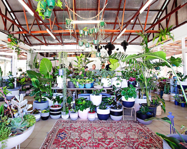 Little Leaf Co, Mosman Park | URBAN LIST PERTH