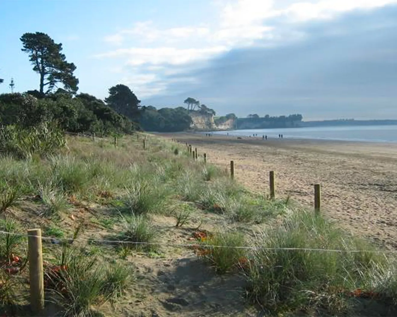 The Best Beaches In Auckland | URBAN LIST NEW ZEALAND