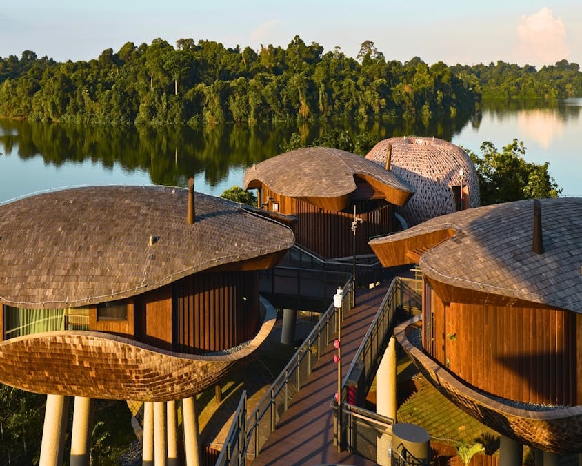 Banyan Tree opens its first Singapore resort in the Mandai Wildlife ...