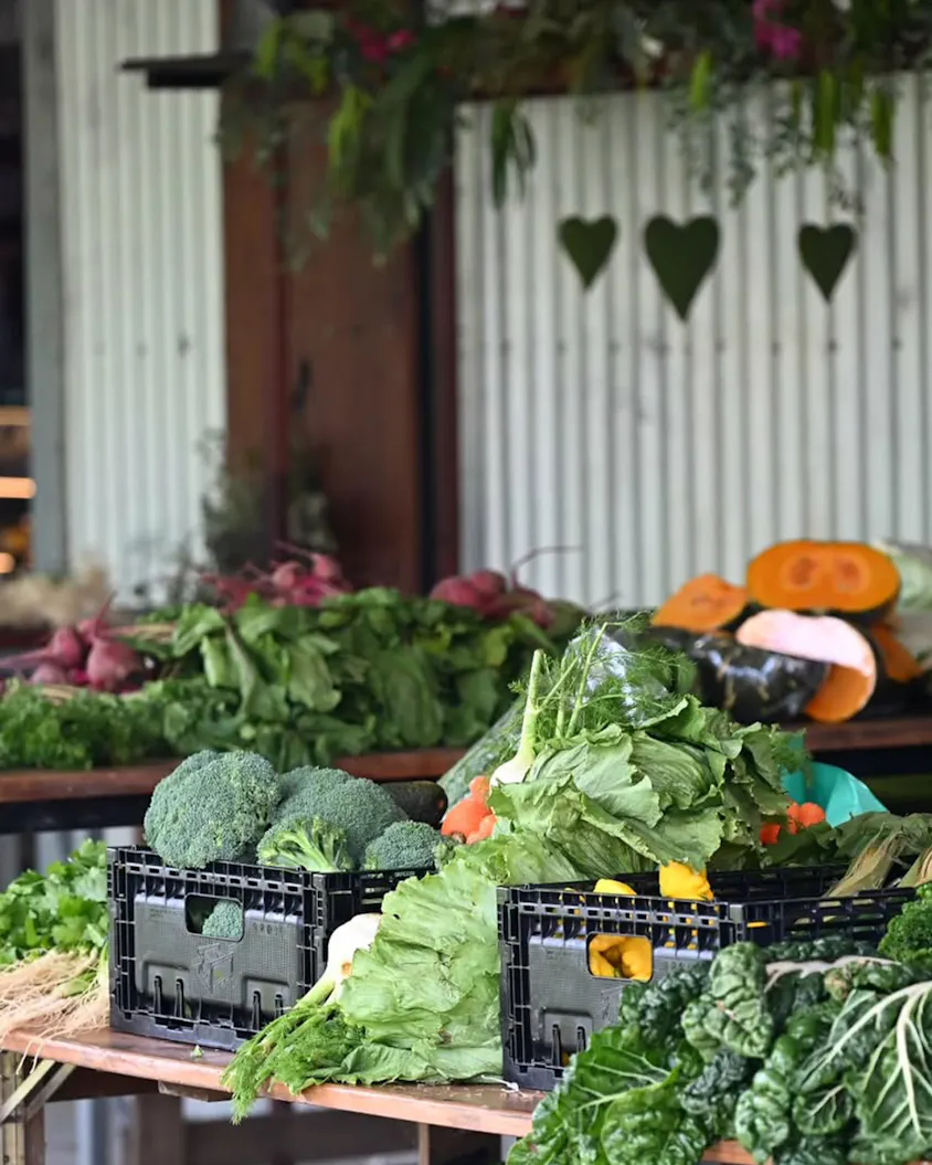 A Complete Guide To Brisbane's Best Markets In 2026 | URBAN LIST BRISBANE