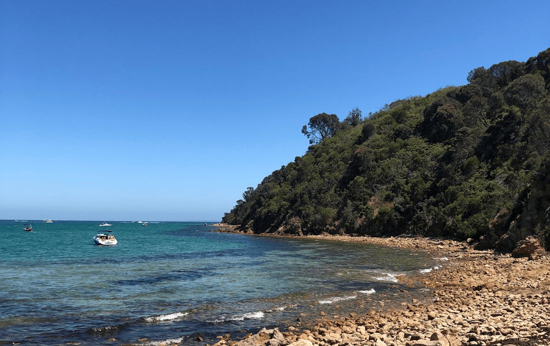 Splatters Cheese Bar | Geelong & West Melbourne | URBAN LIST MELBOURNE