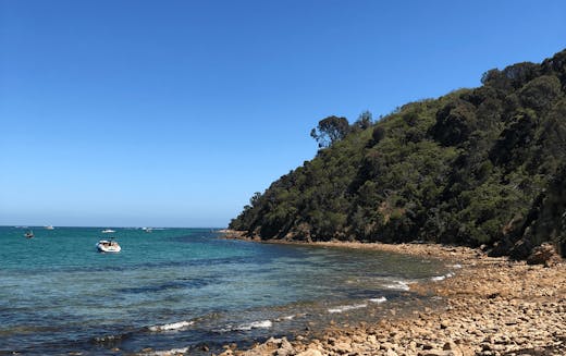 Splatters Cheese Bar | Geelong & West Melbourne | URBAN LIST MELBOURNE