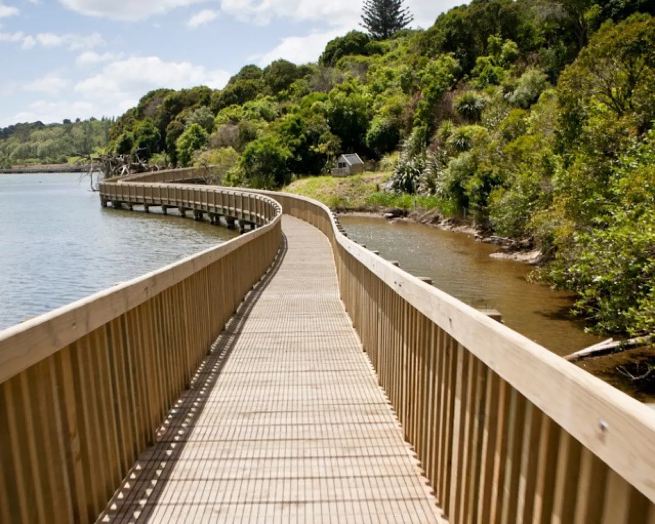 The Best Walks In Auckland | URBAN LIST NEW ZEALAND