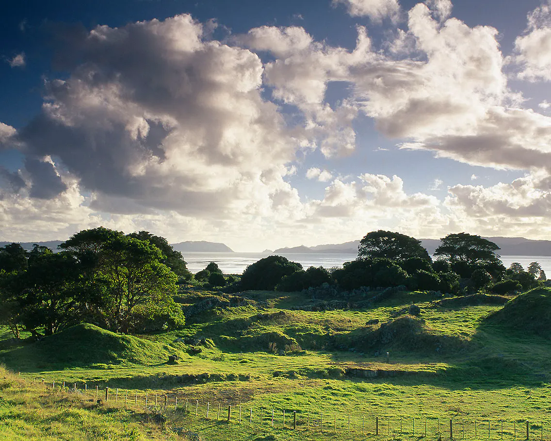 The Best Parks In Auckland | URBAN LIST AUCKLAND