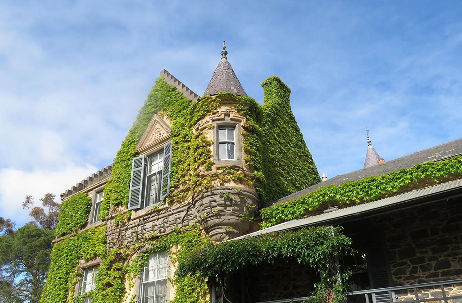 These Are Melbourne's 13 Best High Teas In 2025 | URBAN LIST MELBOURNE