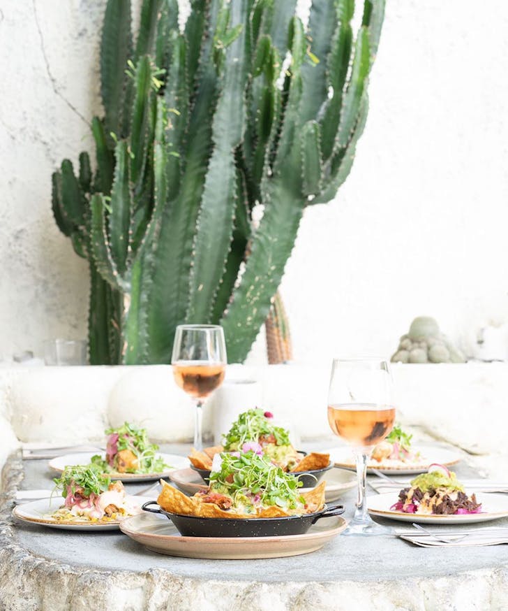 Palm Beach's Best Restaurants | 2024 Edition | URBAN LIST GOLD COAST