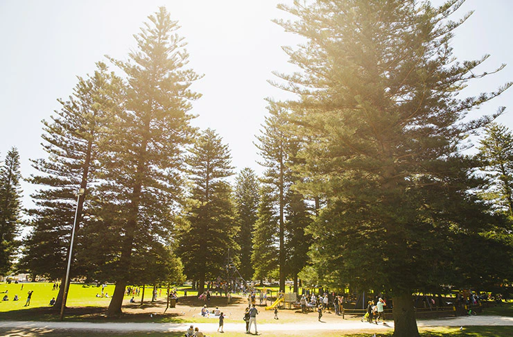 The Most Beautiful Parks In Perth For Winter Walks And Picnics | URBAN ...