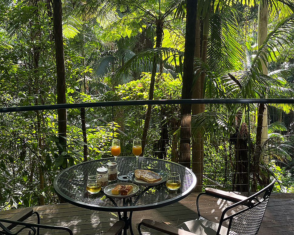Pethers Rainforest Retreat | URBAN LIST GOLD COAST