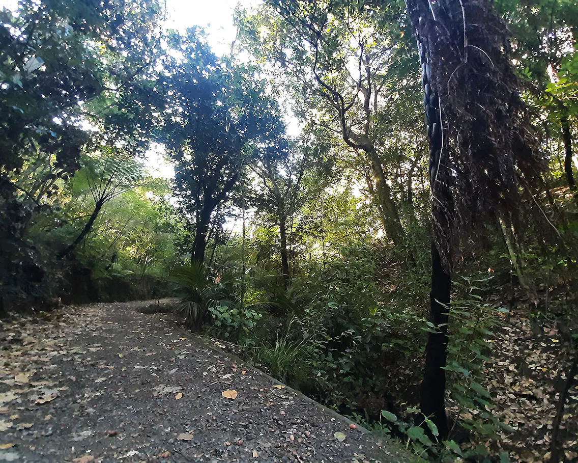 The Best Parks In Auckland | URBAN LIST AUCKLAND