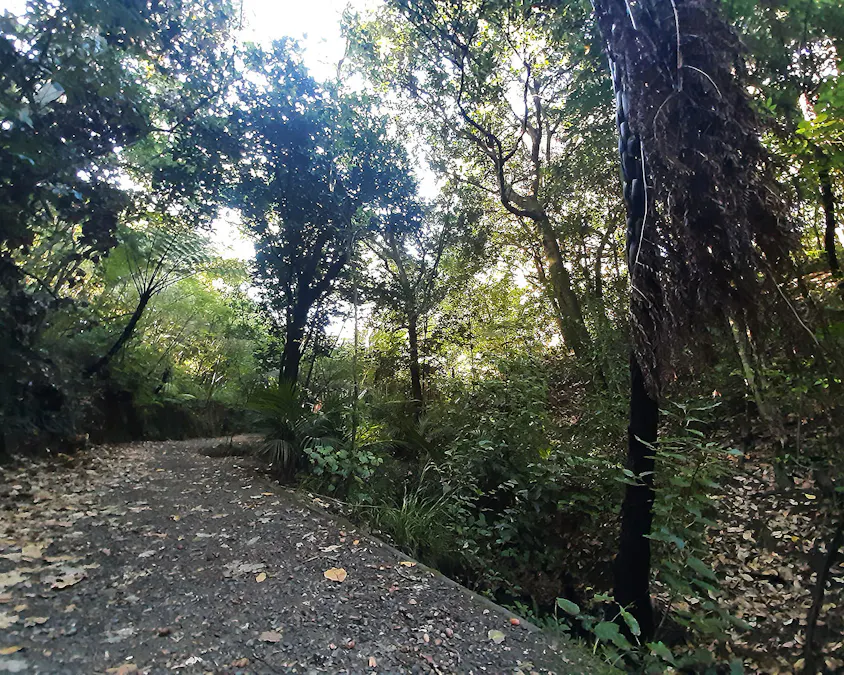 The Best Parks In Auckland | URBAN LIST AUCKLAND