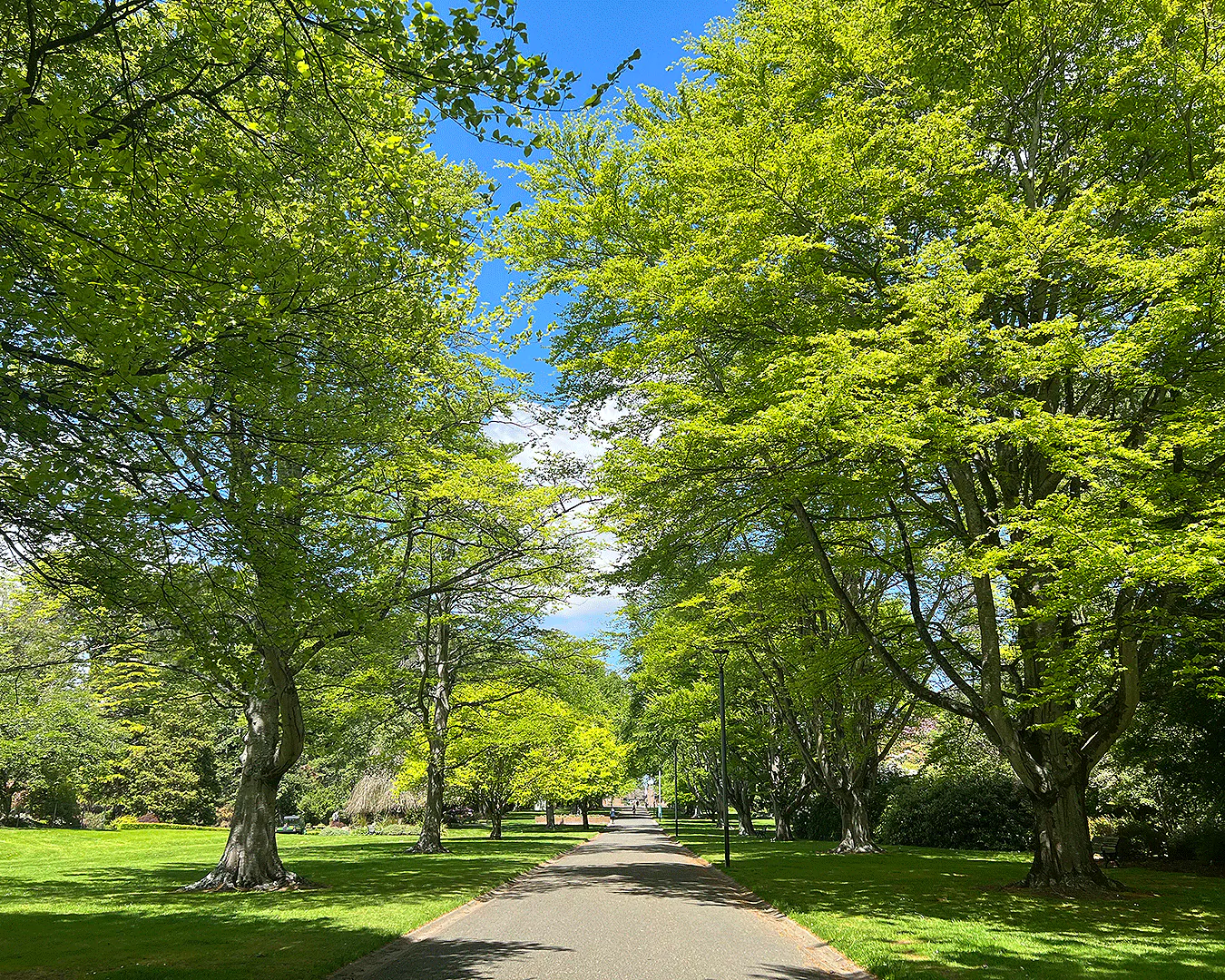 The Best Things To Do In Invercargill | URBAN LIST NEW ZEALAND