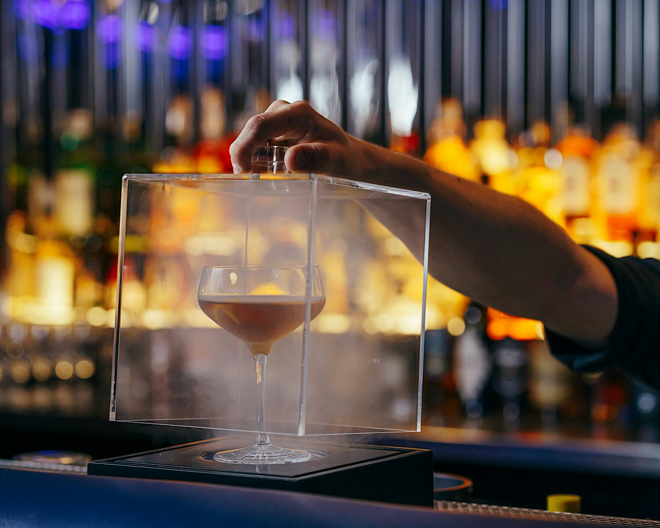 Quinn | URBAN LIST AUCKLAND