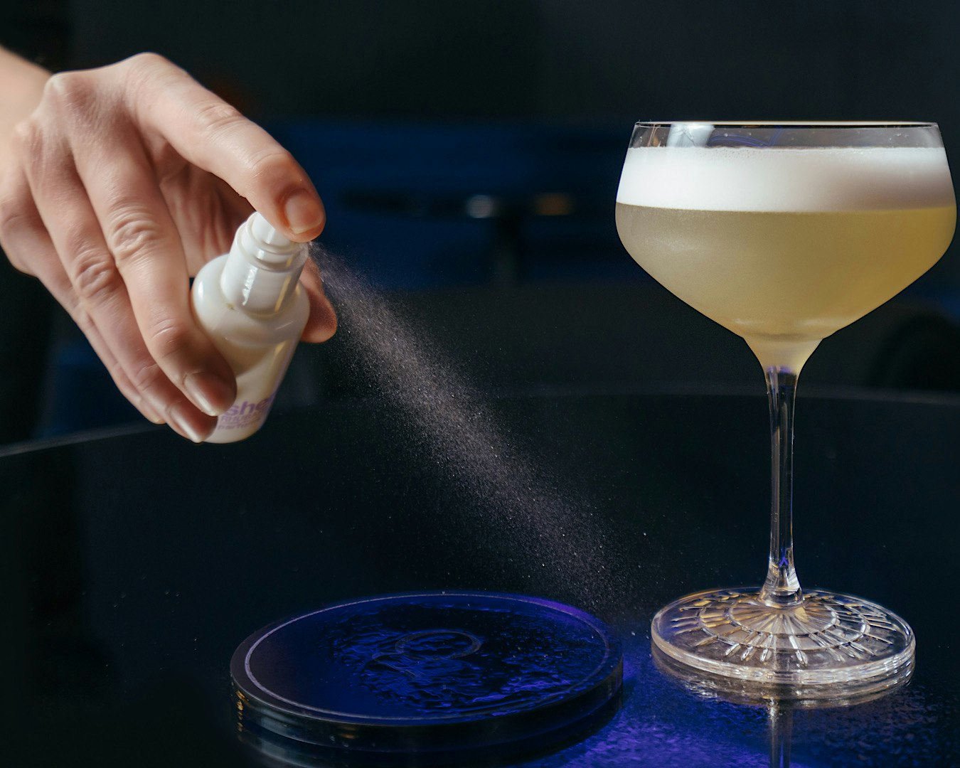 Quinn | URBAN LIST AUCKLAND