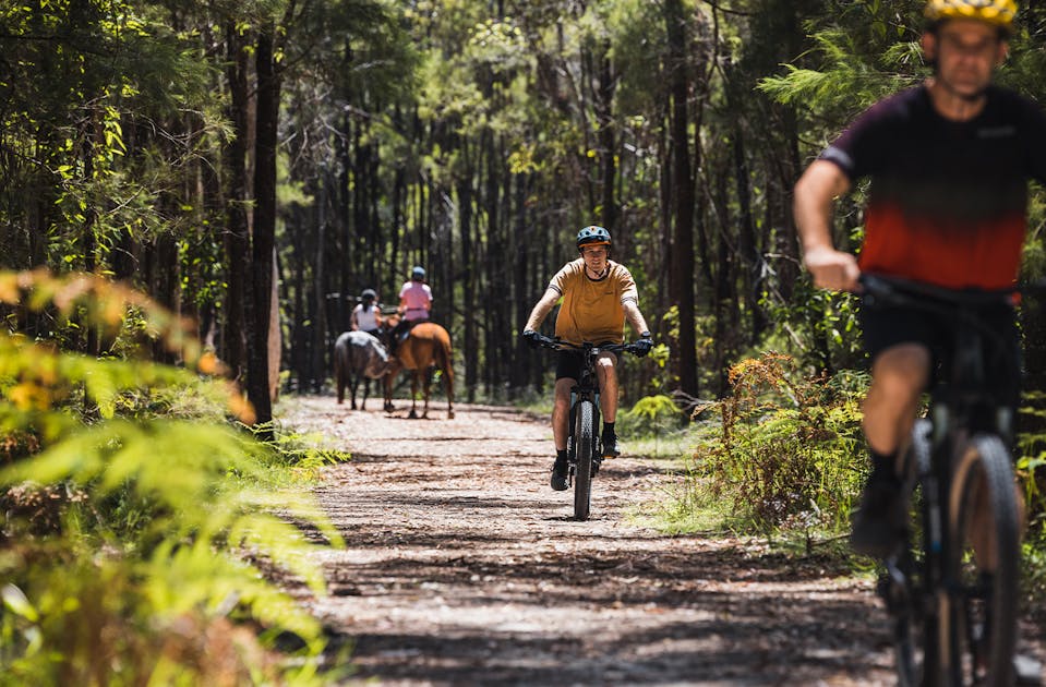 Here's 6 Reasons Why Redlands Coast Is The Ultimate Winter Playground ...