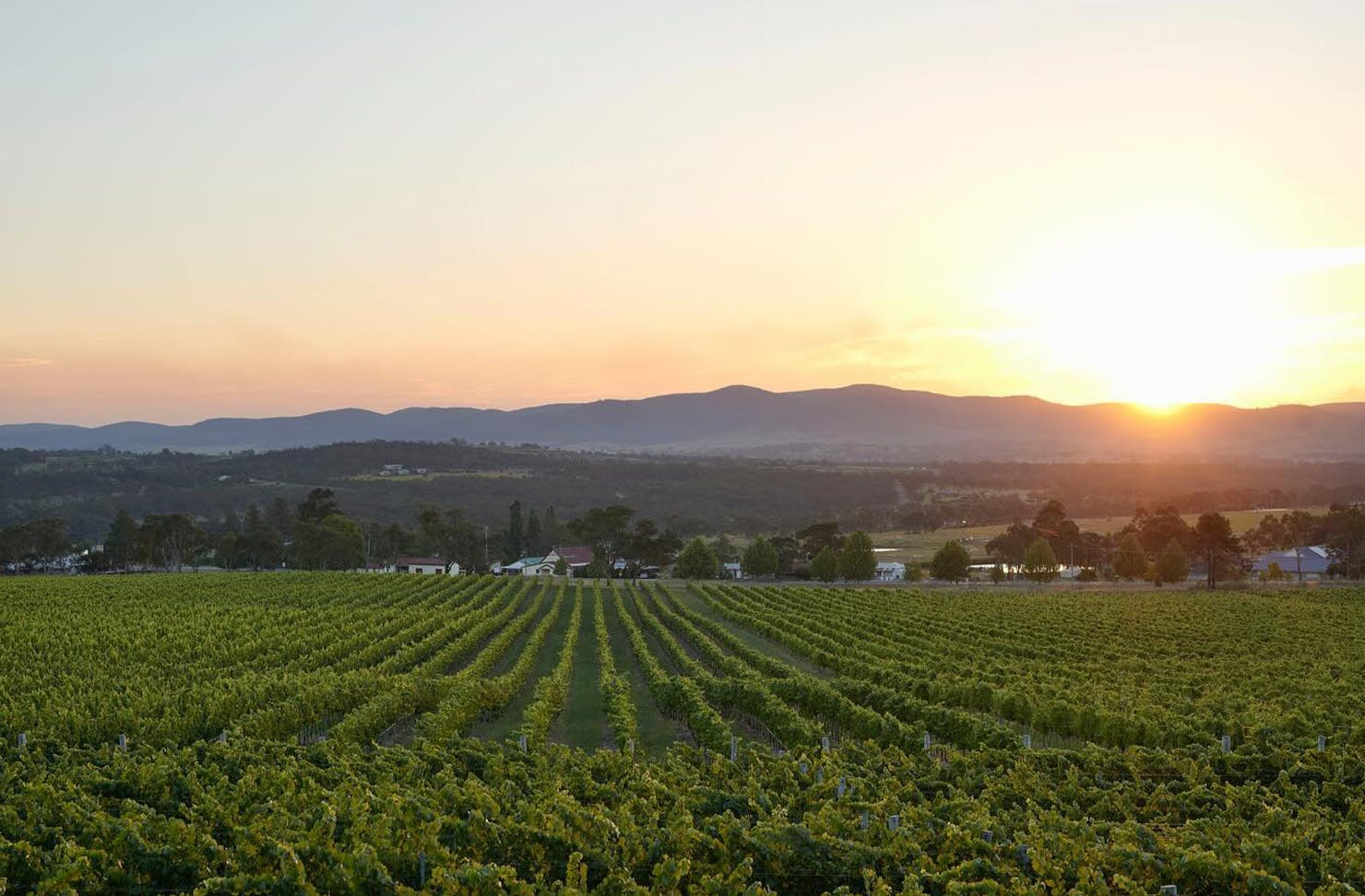 Here's 6 Reasons Why Redlands Coast Is The Ultimate Winter Playground ...