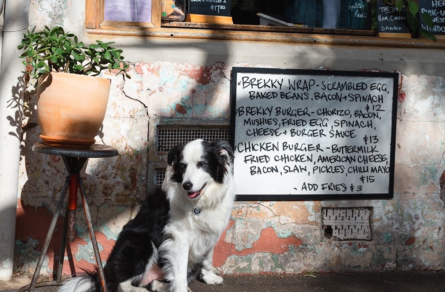 The Best Redfern Cafes In 2023 | URBAN LIST SYDNEY