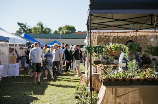 Brisbane Market Flowers Rocklea Qld Australia - Home Alqu