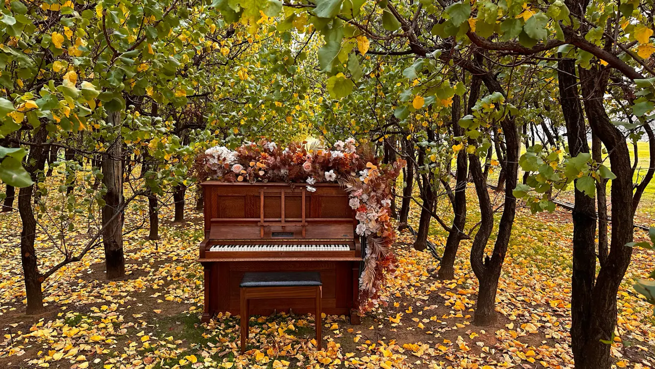 Where To Pick Your Own Fruit In Perth | URBAN LIST PERTH