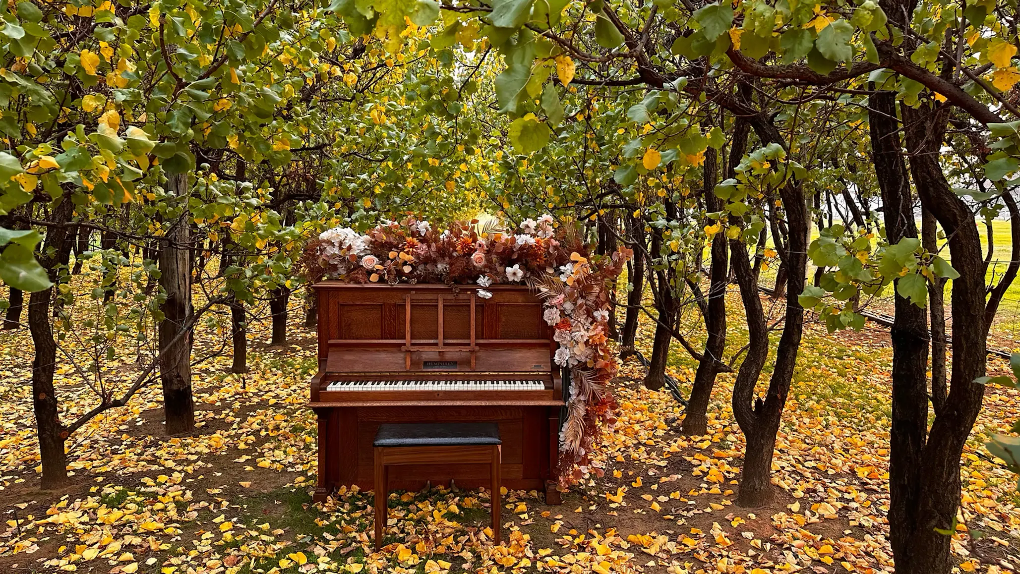 Where To Pick Your Own Fruit In Perth | URBAN LIST PERTH