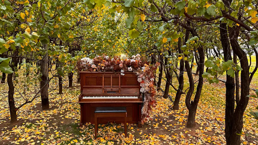 Where To Pick Your Own Fruit In Perth | URBAN LIST PERTH