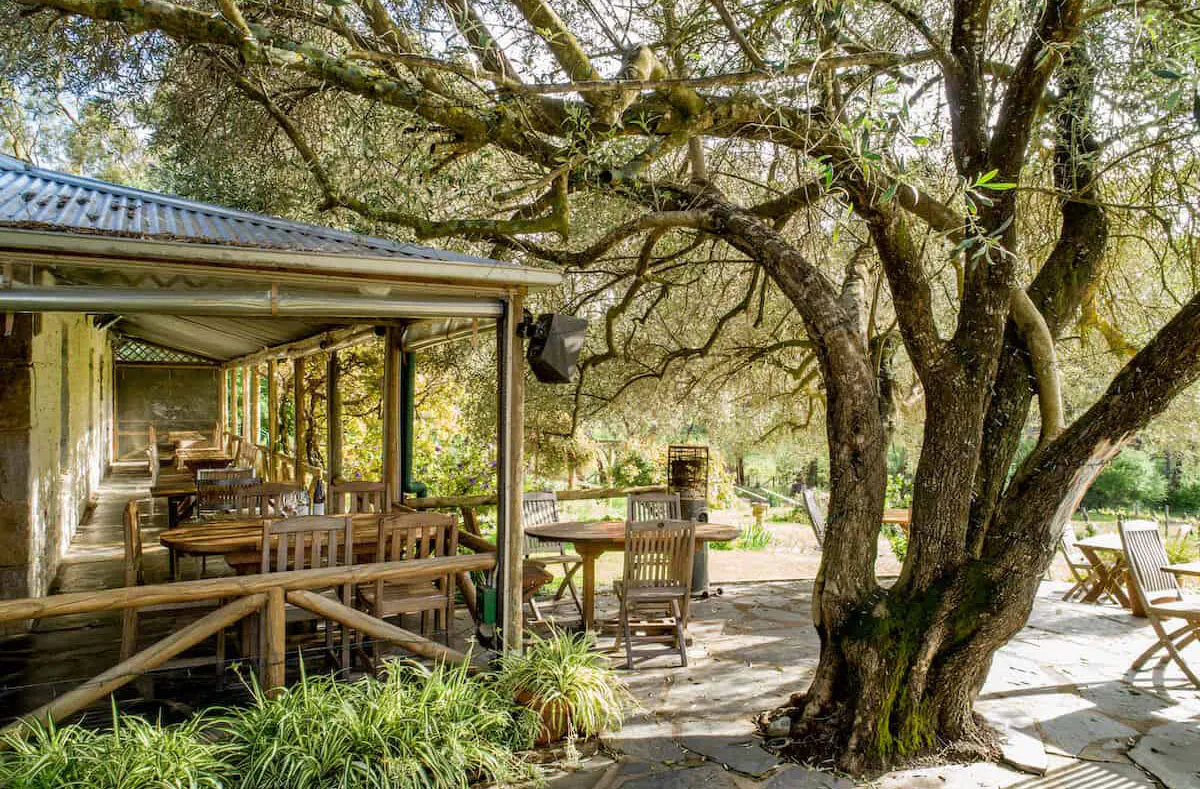 The Best Wineries In South Australia: Clare Valley, Barossa, Adelaide ...