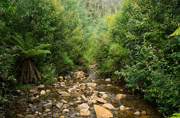 Free Camping Victoria 2024 | URBAN LIST MELBOURNE