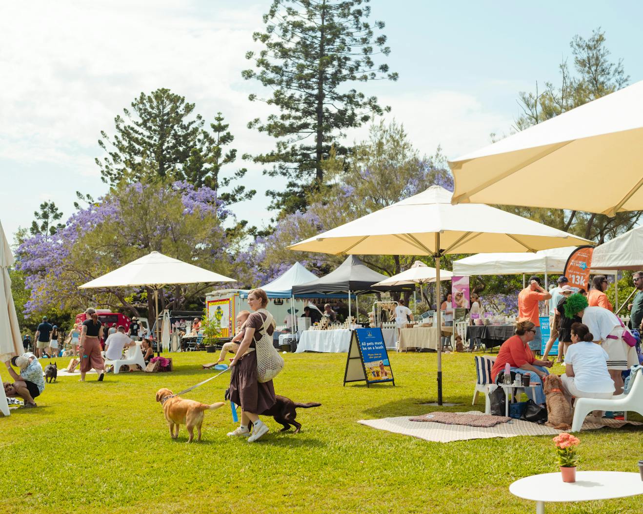 Cuddle-Zones And Pamper Parlours: This Pooch Party Is Next-Level Cute ...