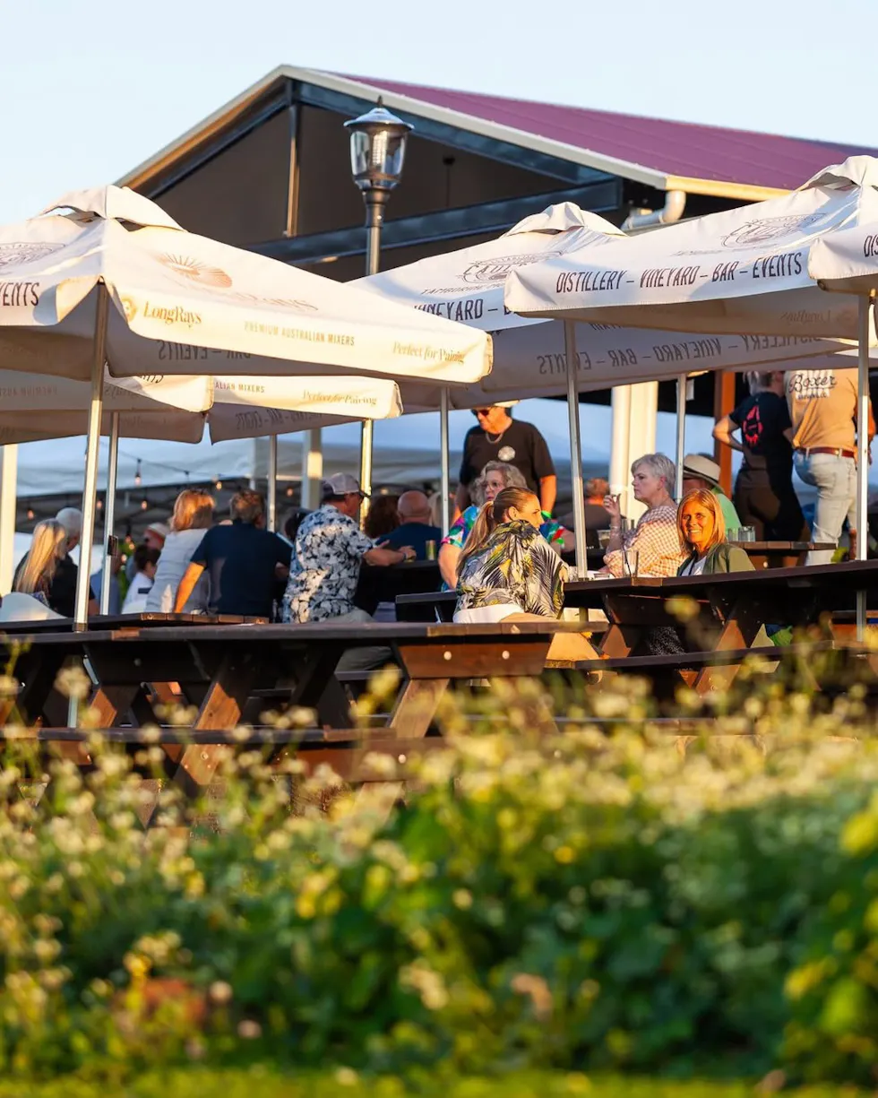 15 Of The Best Things To Do In Tamborine Mountain (Updated 2026 ...
