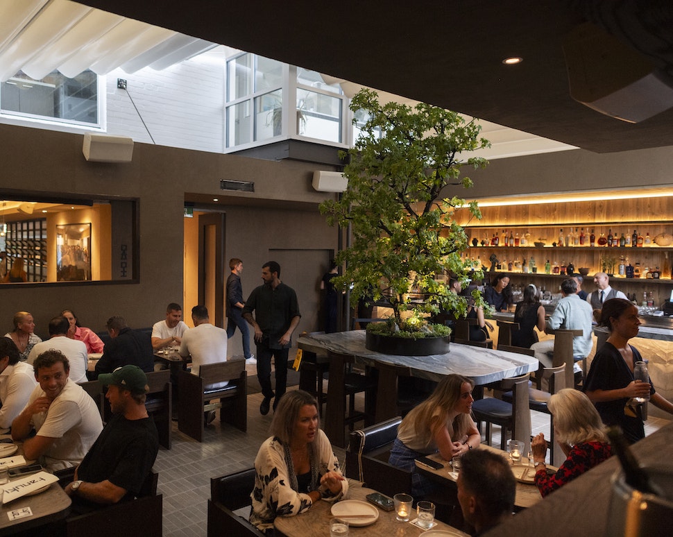 Tanuki Is A Modern Japanese Restaurant And Bar In Double Bay | URBAN ...