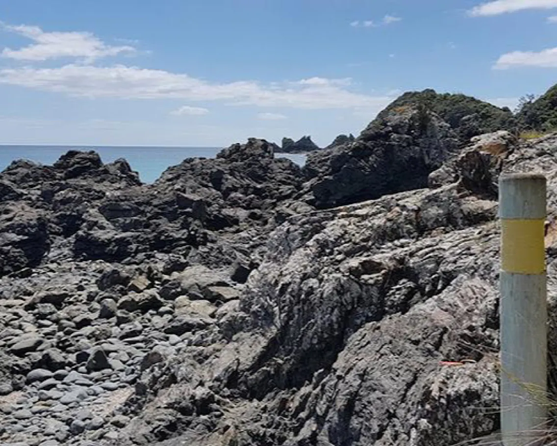 The Best Walks In Auckland | URBAN LIST NEW ZEALAND