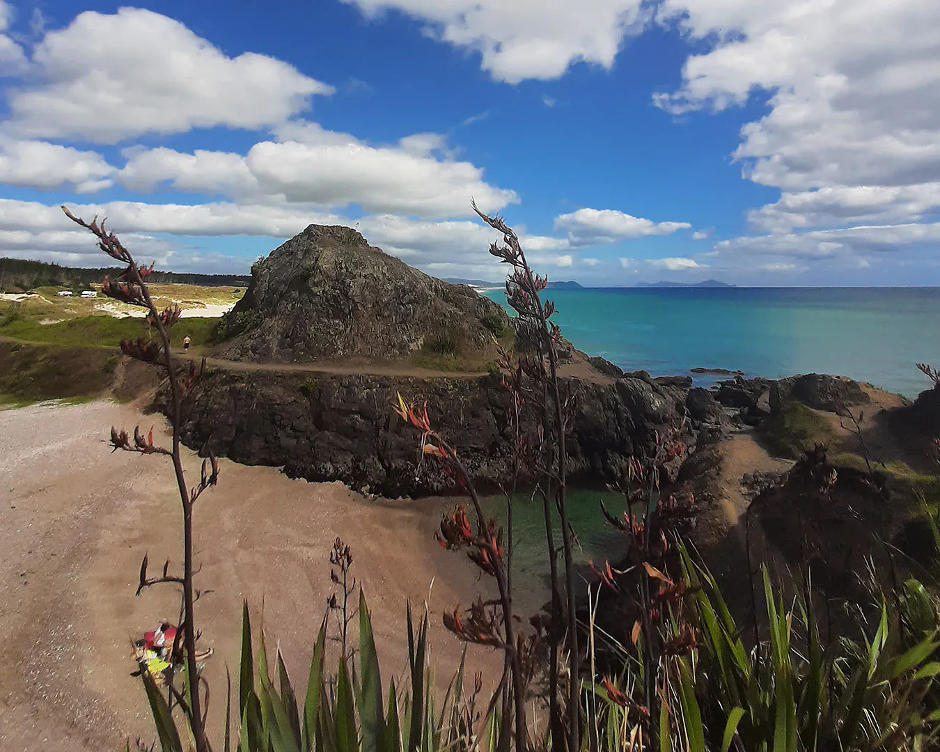 The Best Parks In Auckland | URBAN LIST NEW ZEALAND