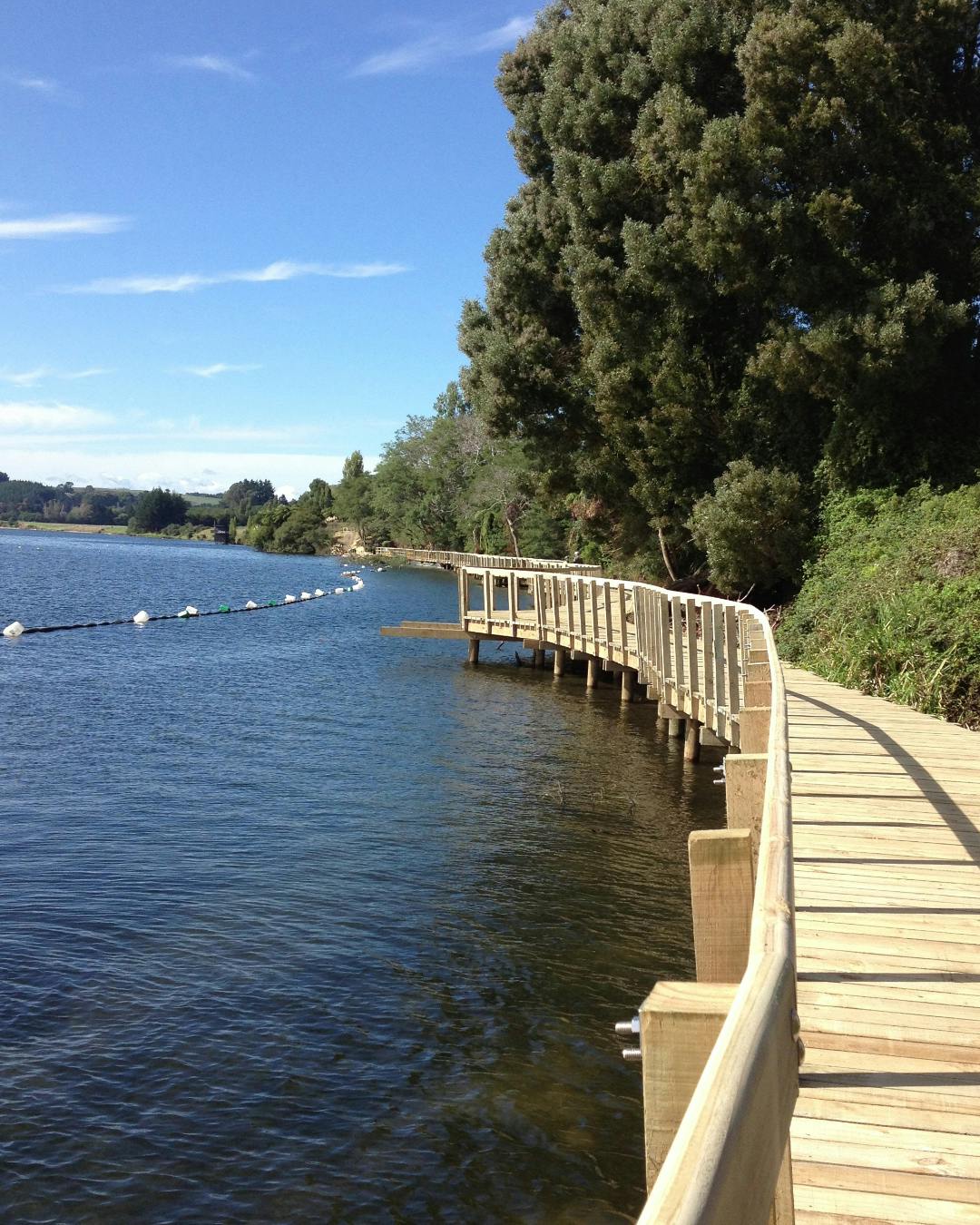 5 Natural Spots In Hamilton To Relax At This Summer | URBAN LIST NEW ...