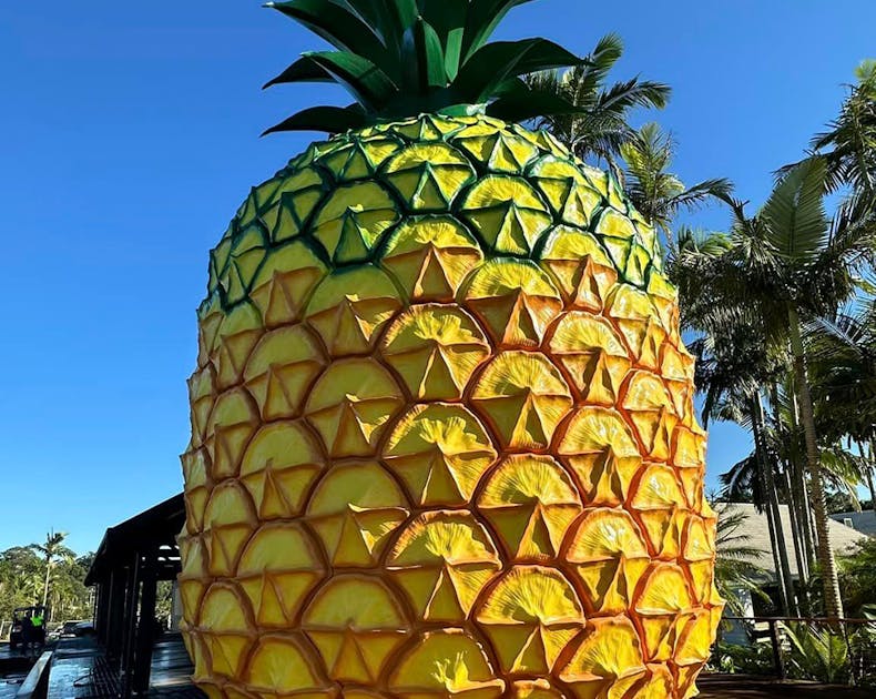 The Big Pineapple Is Making A Return | URBAN LIST SUNSHINE COAST