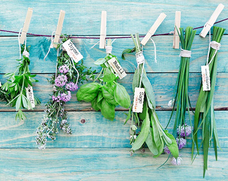 The Little Big Store, Wangara | URBAN LIST PERTH