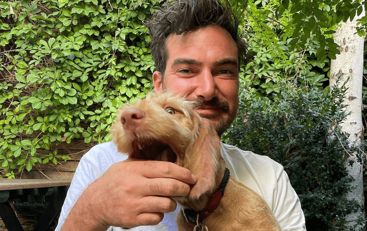 Pets | URBAN LIST MELBOURNE