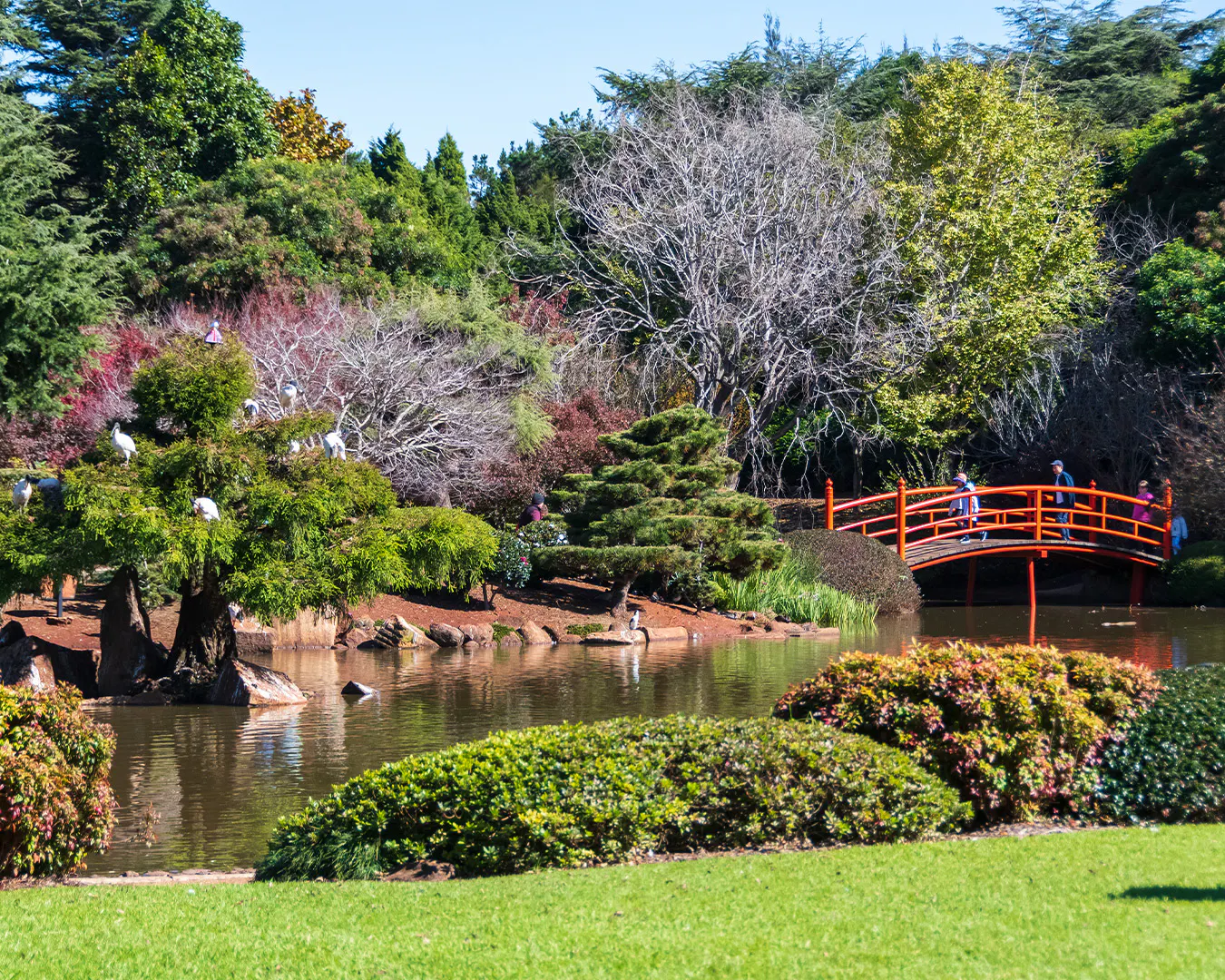 14 Of The Best Things To Do In Toowoomba | URBAN LIST BRISBANE
