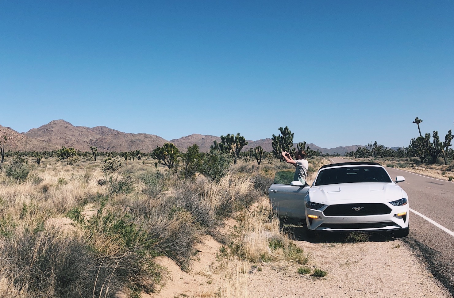 The World’s Largest Peer-To-Peer Car-Sharing Platform Is Your Key To ...