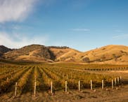 Here's Your Complete Guide To Mudgee In NSW | URBAN LIST SYDNEY