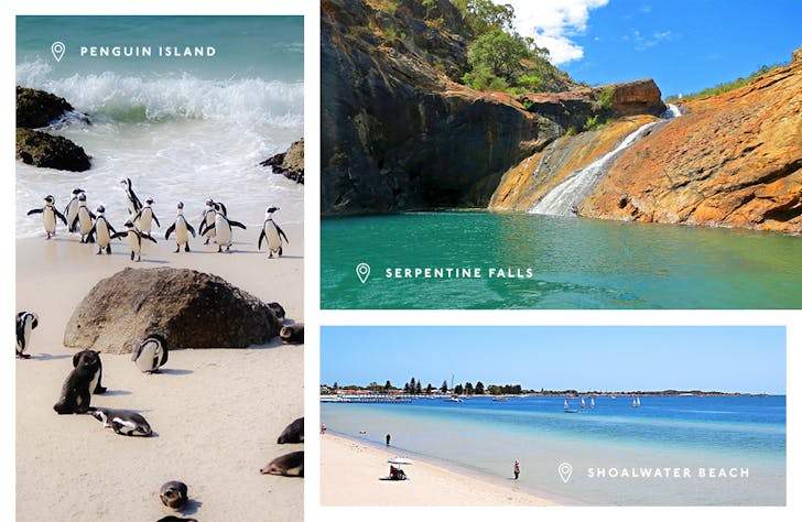 All Of Our Favourite Things To Do In Rockingham And Beyond | URBAN LIST ...