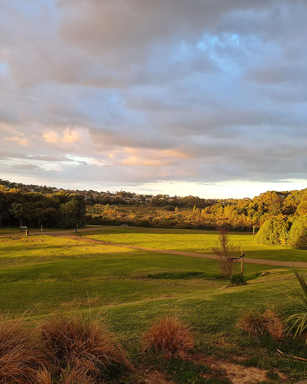 The Best Parks In Auckland | URBAN LIST AUCKLAND