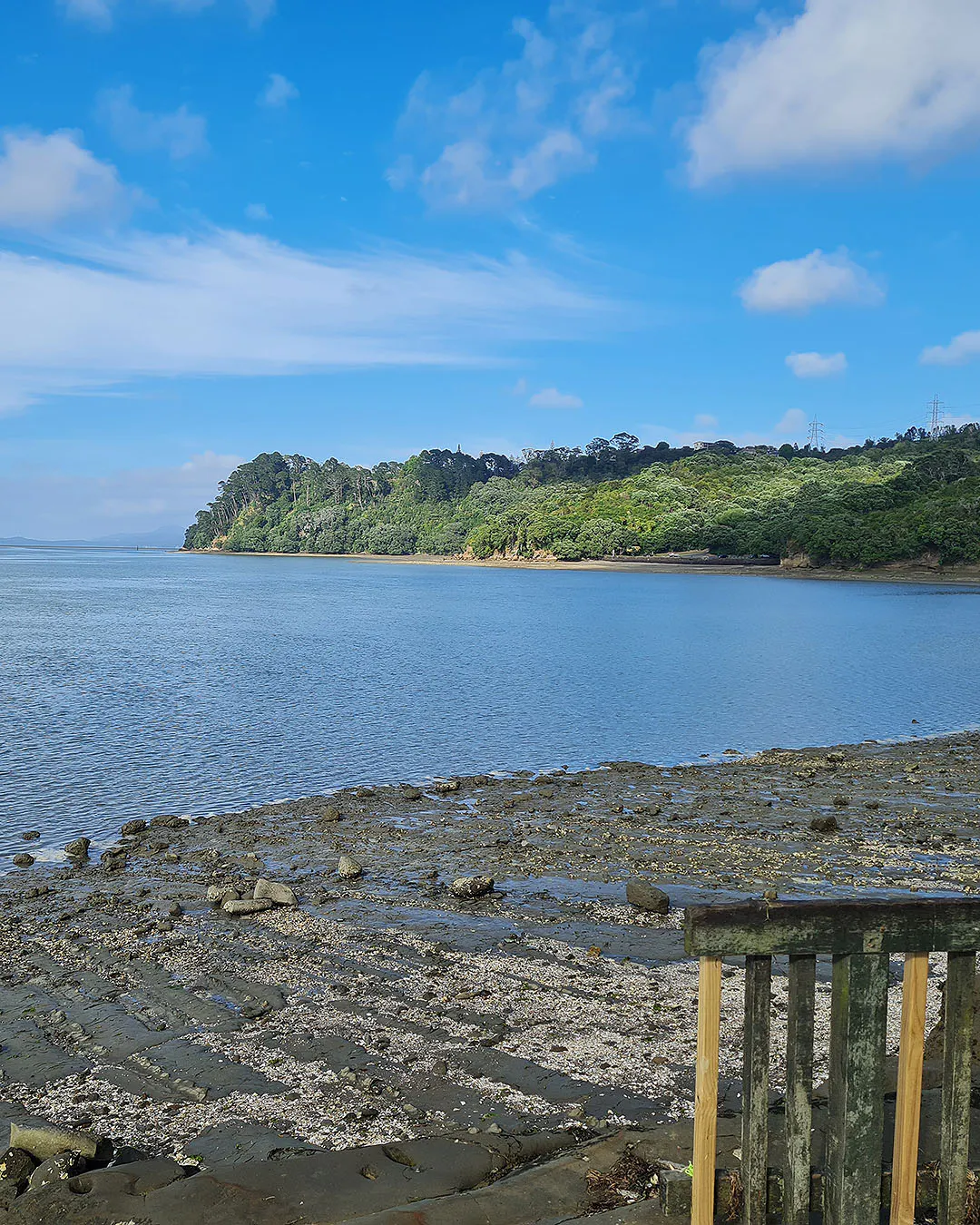 The Best Parks In Auckland | URBAN LIST AUCKLAND