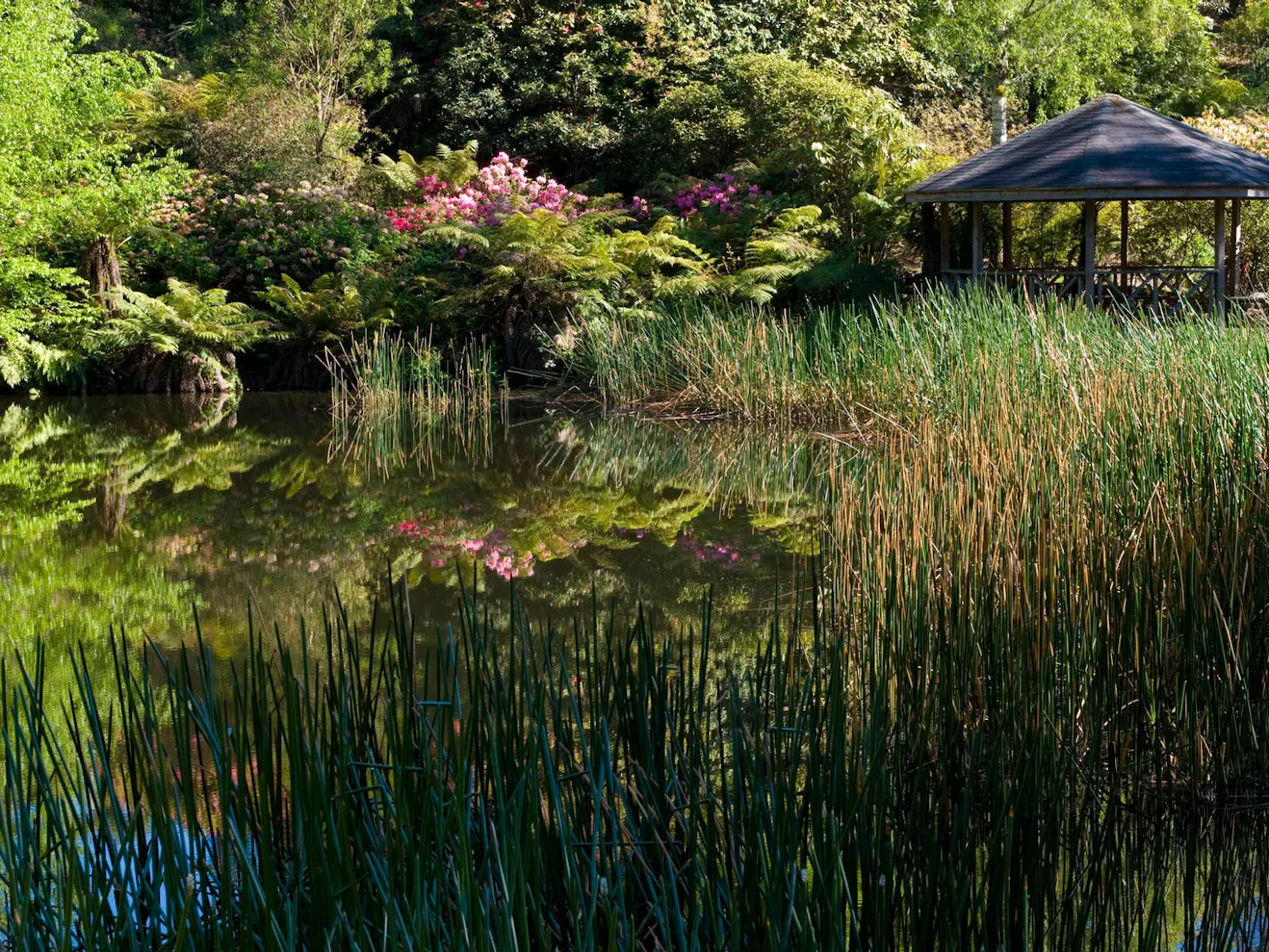 Where To See Spring Flowers In Melbourne & Victoria | URBAN LIST MELBOURNE