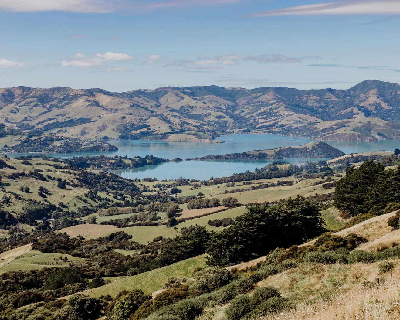 Your 2025 Guide To Akaroa (Updated 2025) | URBAN LIST CHRISTCHURCH