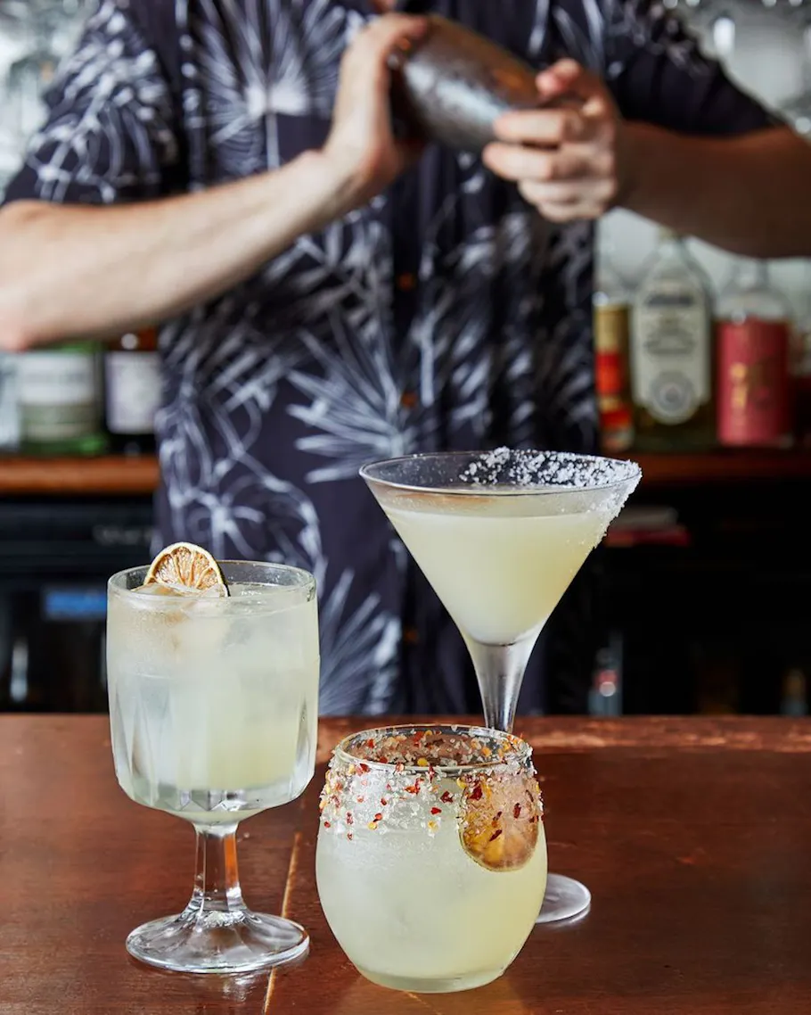 The Best Bondi Bars For All Occasions | URBAN LIST SYDNEY