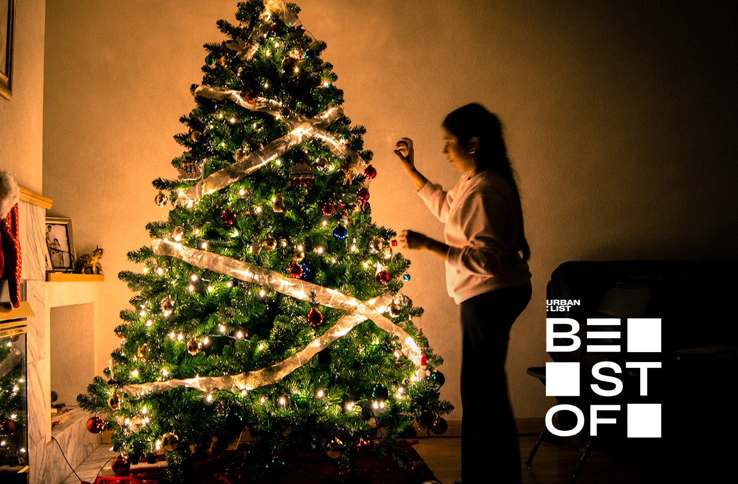 Where To Buy The Best Real Christmas Trees In Auckland In 2025 | URBAN ...